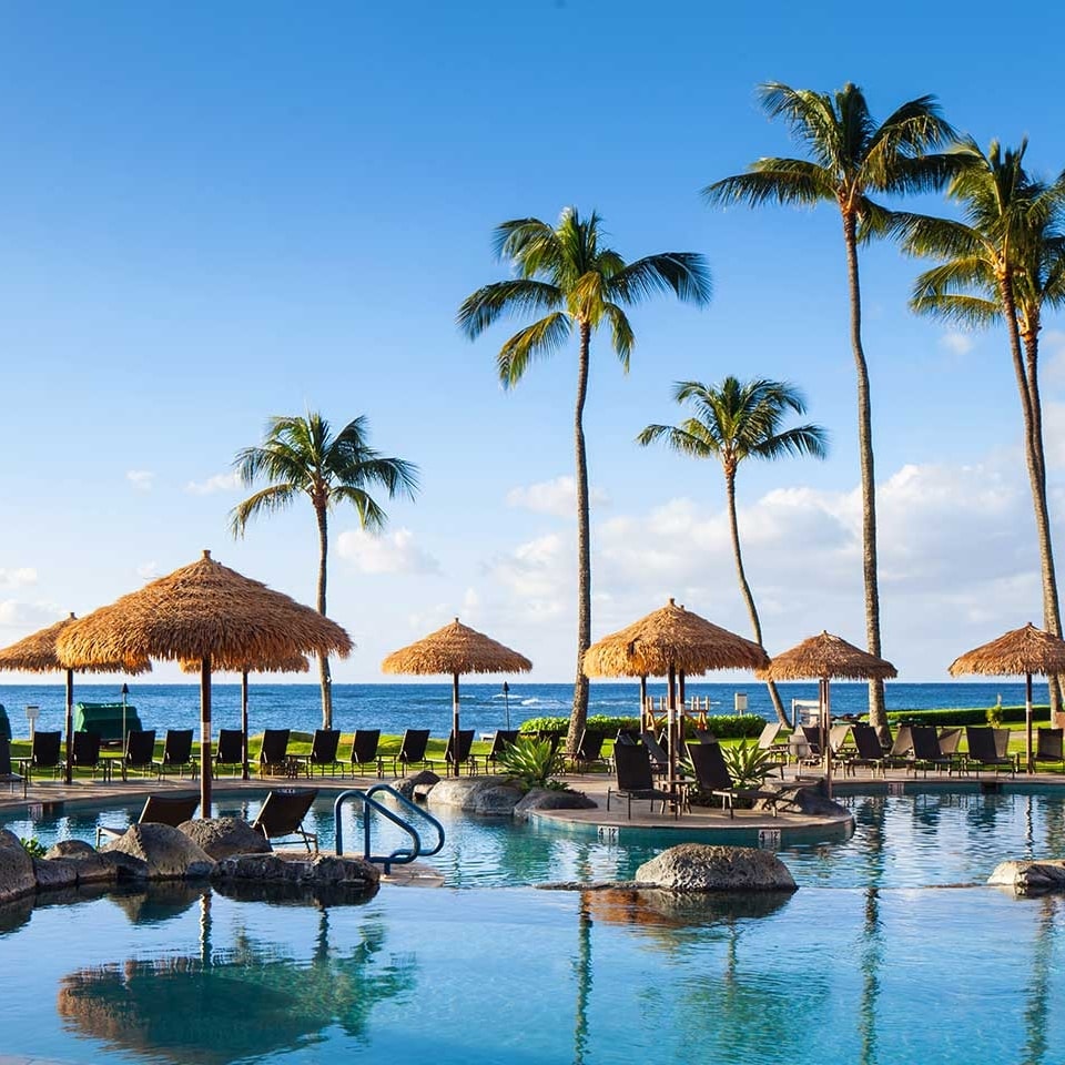 Hotels & Resorts | Book your Hotel directly with Marriott Bonvoy