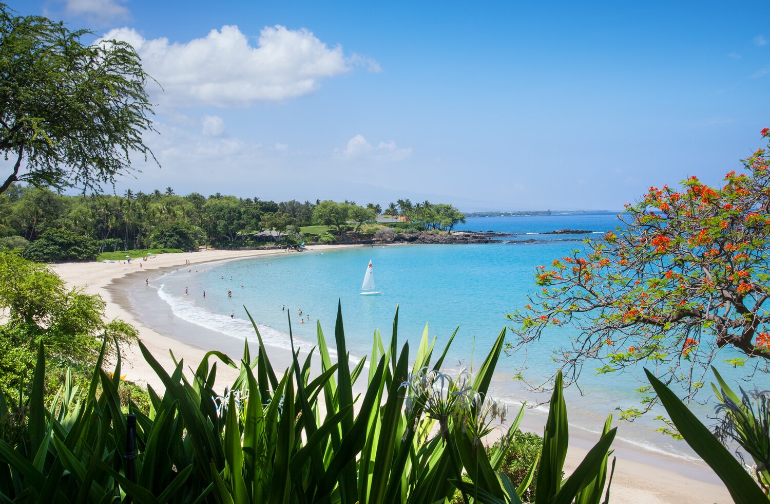 Hotels & Resorts | Book your Hotel directly with Marriott Bonvoy